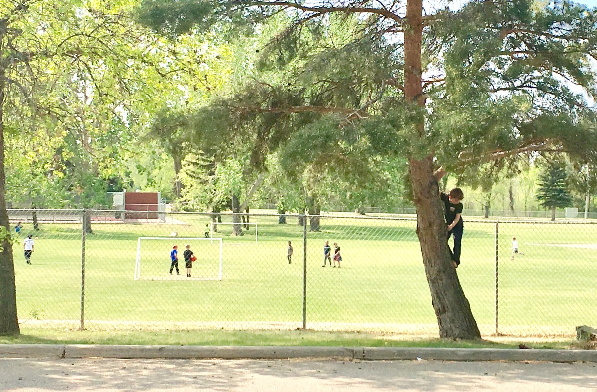 The Free Range Childhood—next to a school – The Unschool Sisters